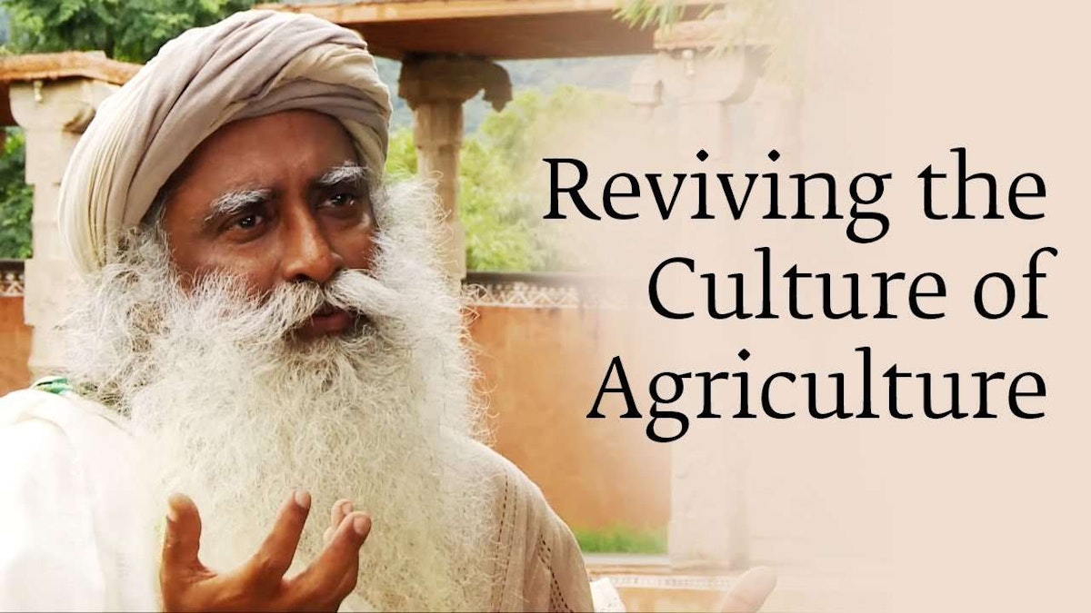 Reviving The Culture Of Agriculture
