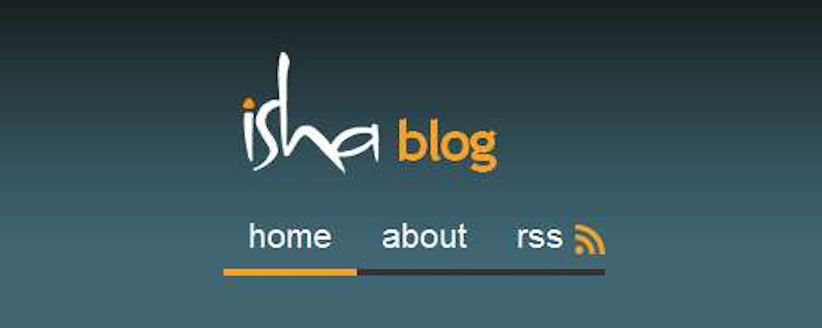 Isha Blog: The Year in Review