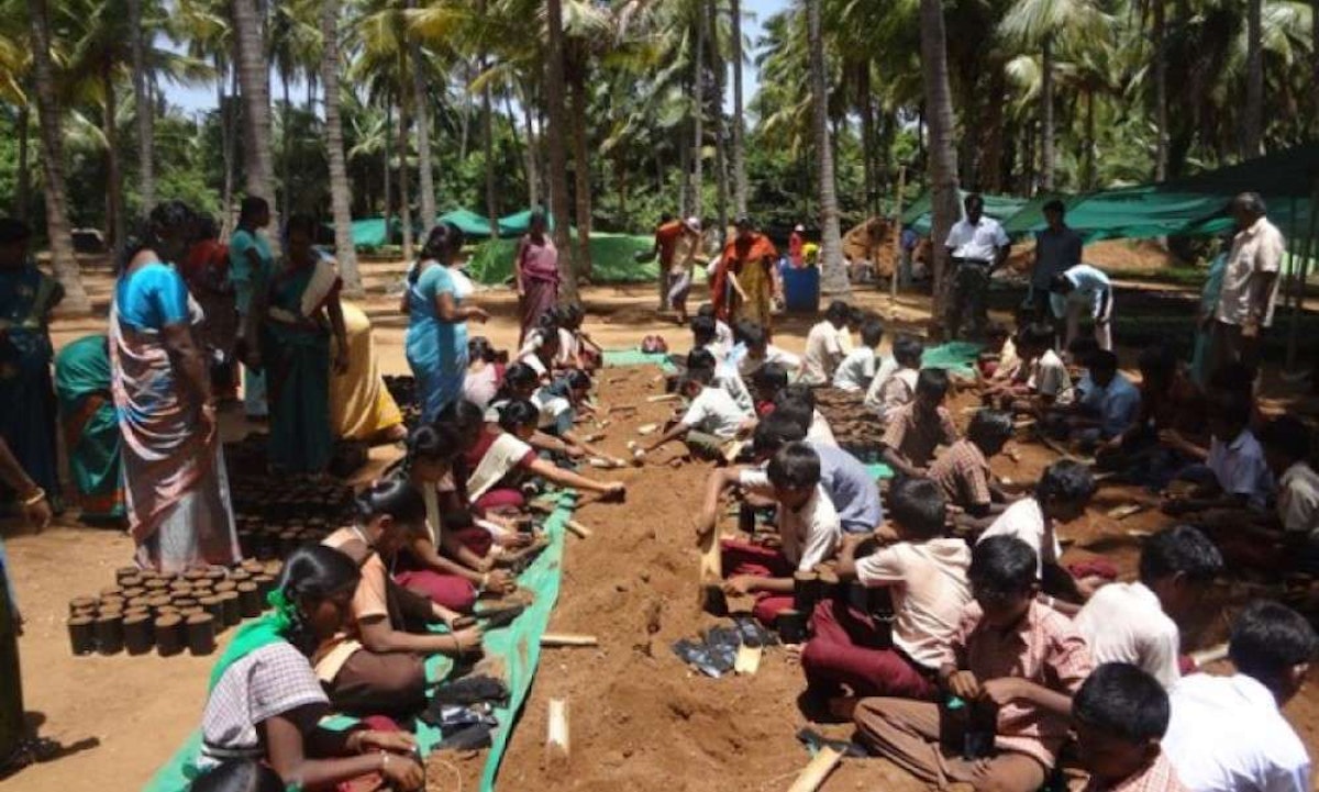 New Trees, New Life - Project GreenHands Quarterly Report