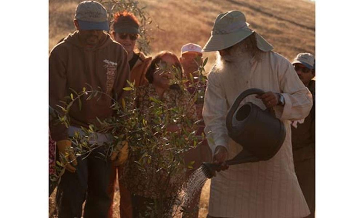 The California Isha Center Takes Root