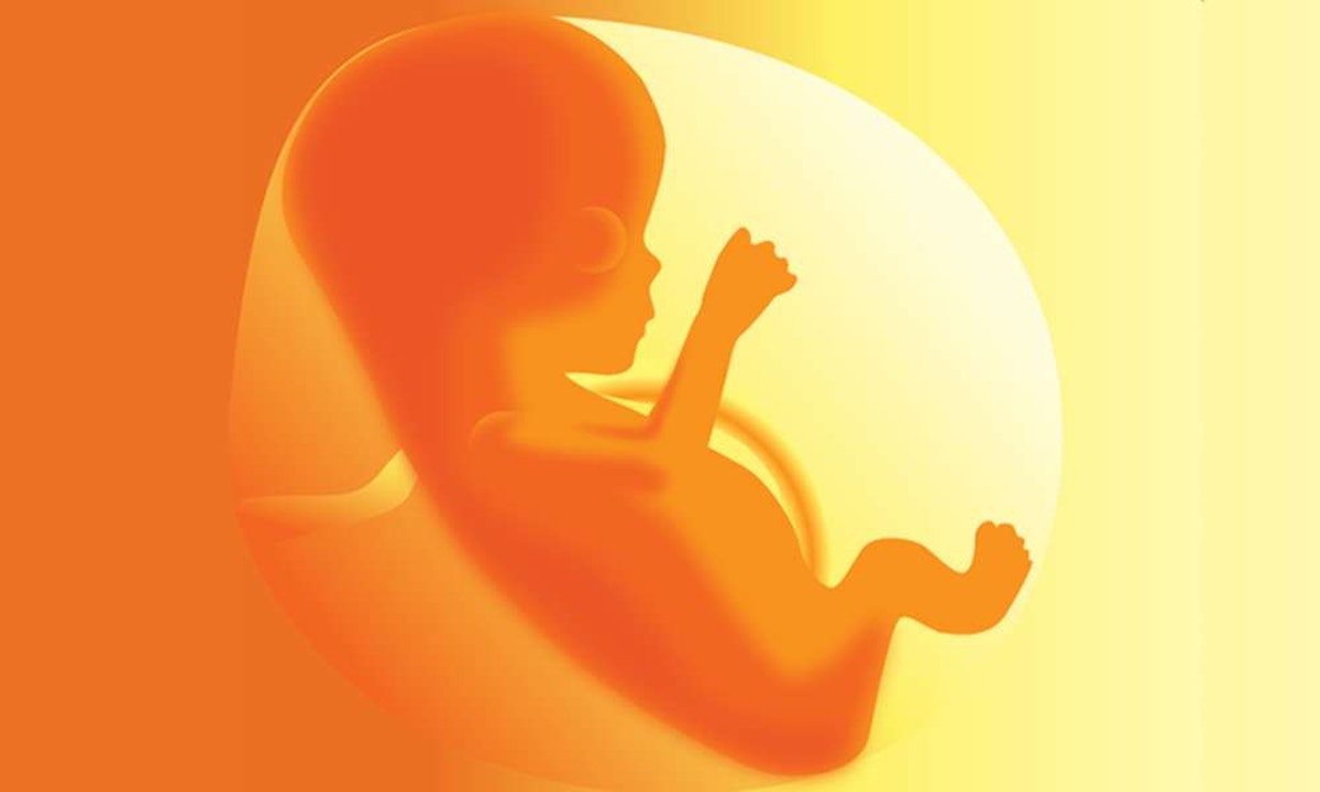 Do Past Lives Determine the Form We Are Born In?