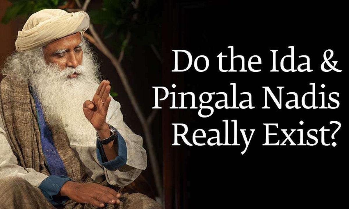 Do the Ida and Pingala Nadis Really Exist?