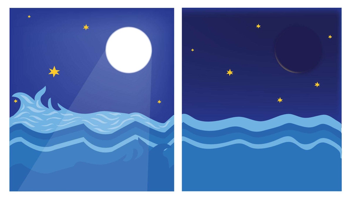 What is the Difference Between Pournami and Amavasya?