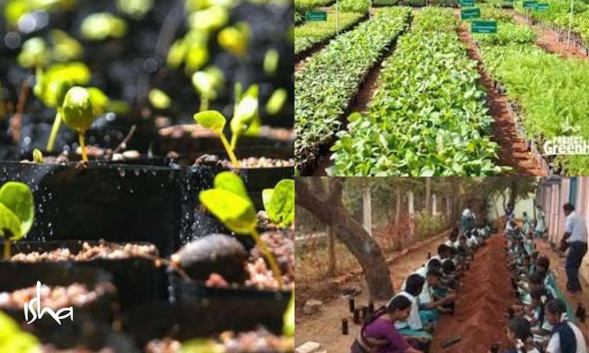 Project GreenHands (2010)