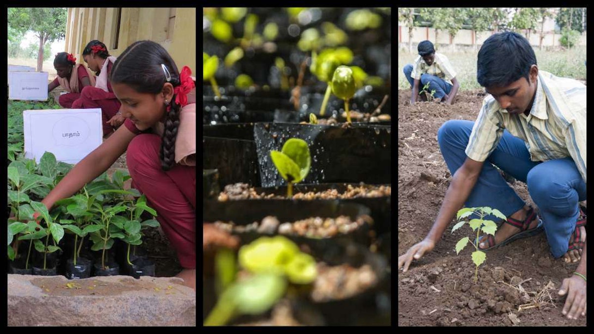 Project GreenHands: The People Behind 30 Million Saplings