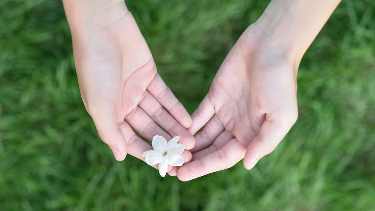 No Give & Take, Just Spring in Your Heart