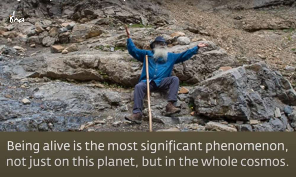 You as a Life are the greatest phenomenon