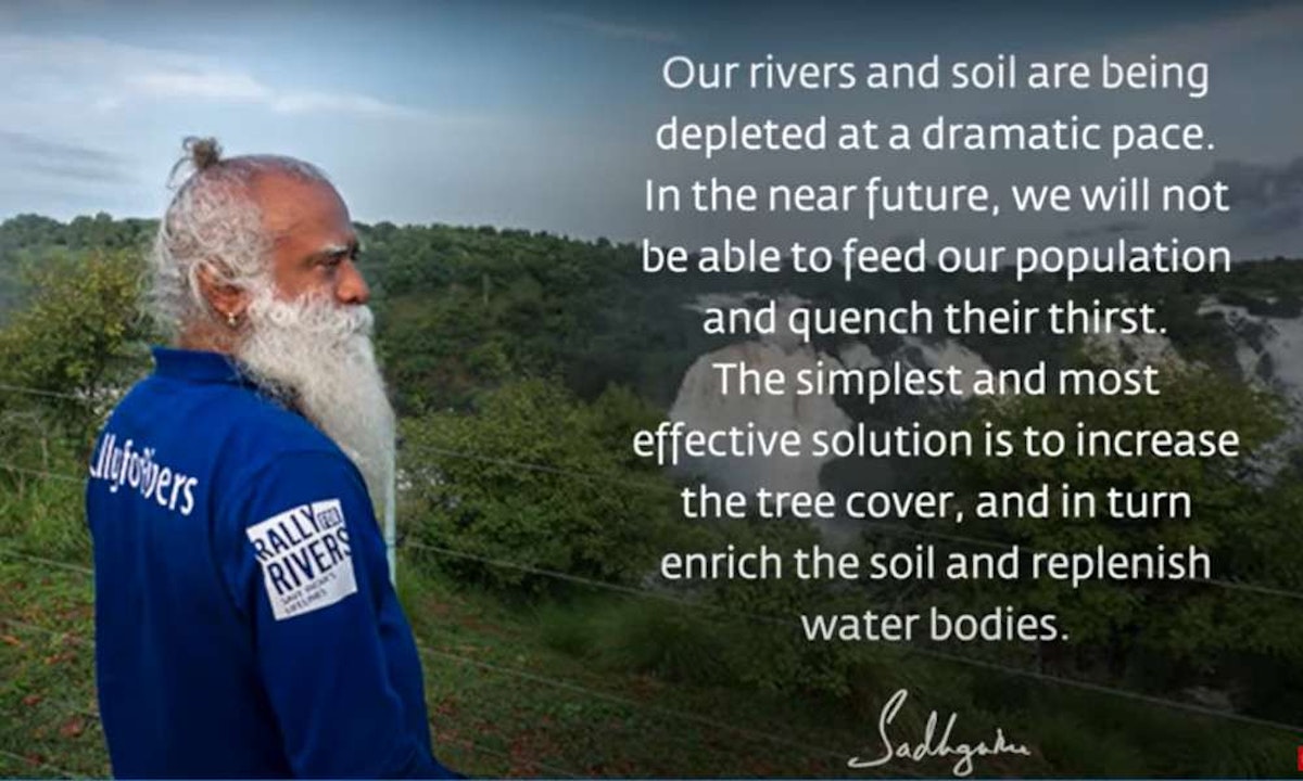 Increasing Tree Cover is the Most Effective Way to Replenish Water and ...