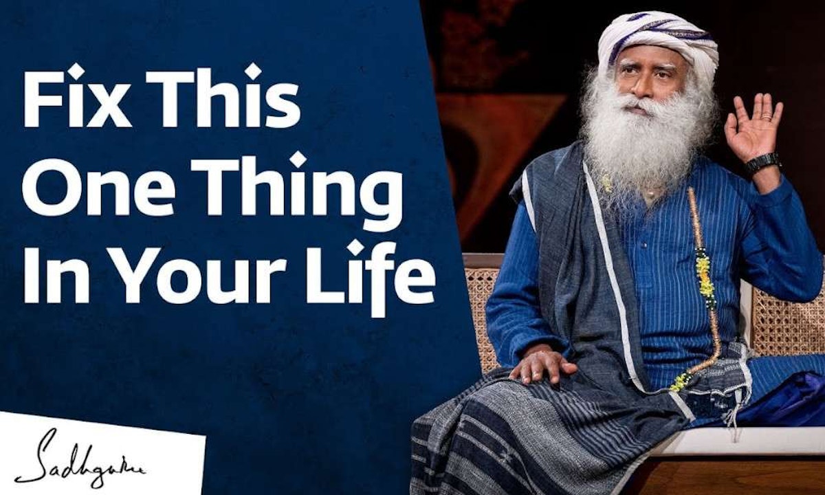 How To Create Maximum Impact in the World?