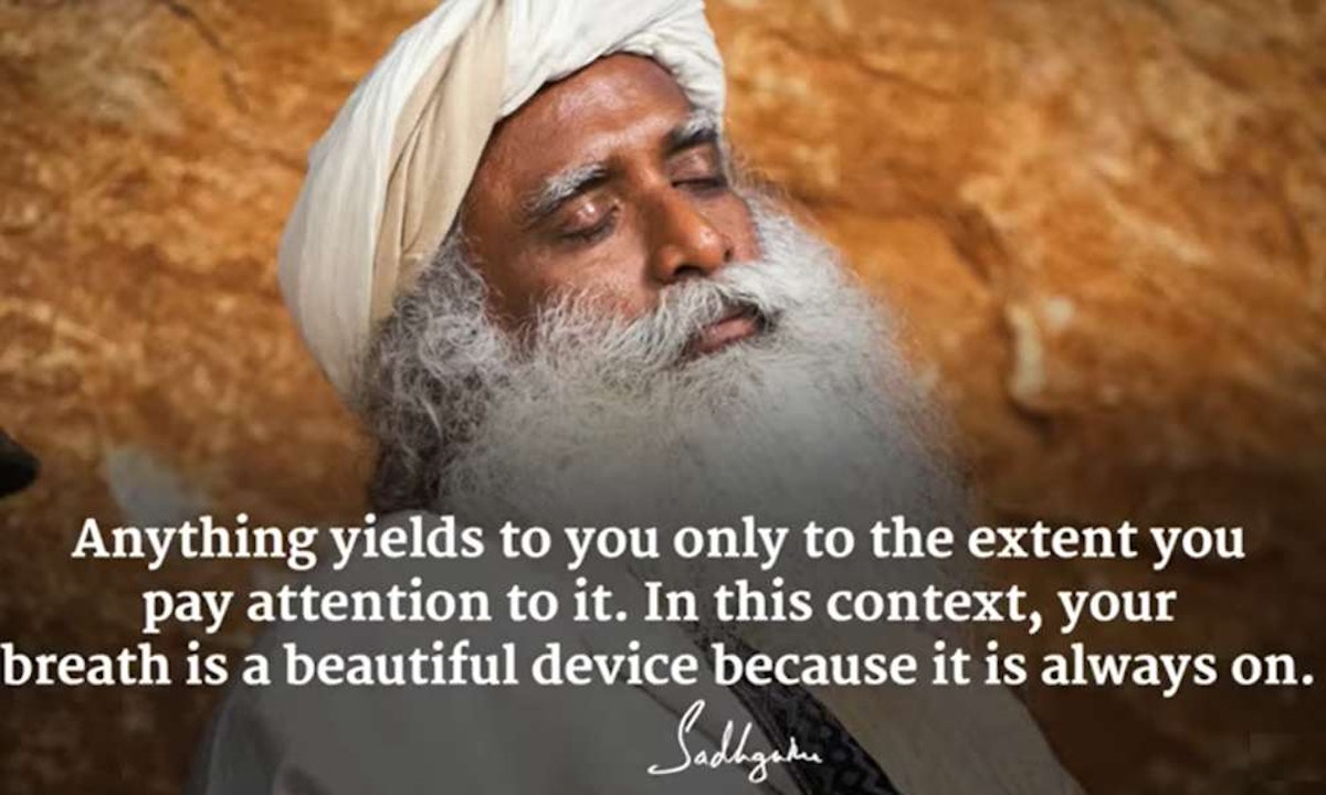 If You Want Your Life to Be Profound, You Need to Pay Attention