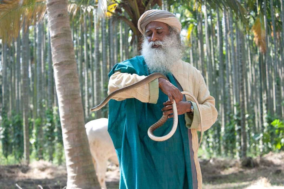 பாம்பு... நண்பனா? எதிரியா?