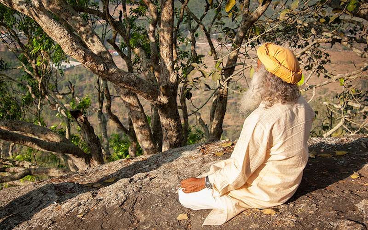 Sadhguru Quotes - The seed of enlightenment is there in every being. It ...