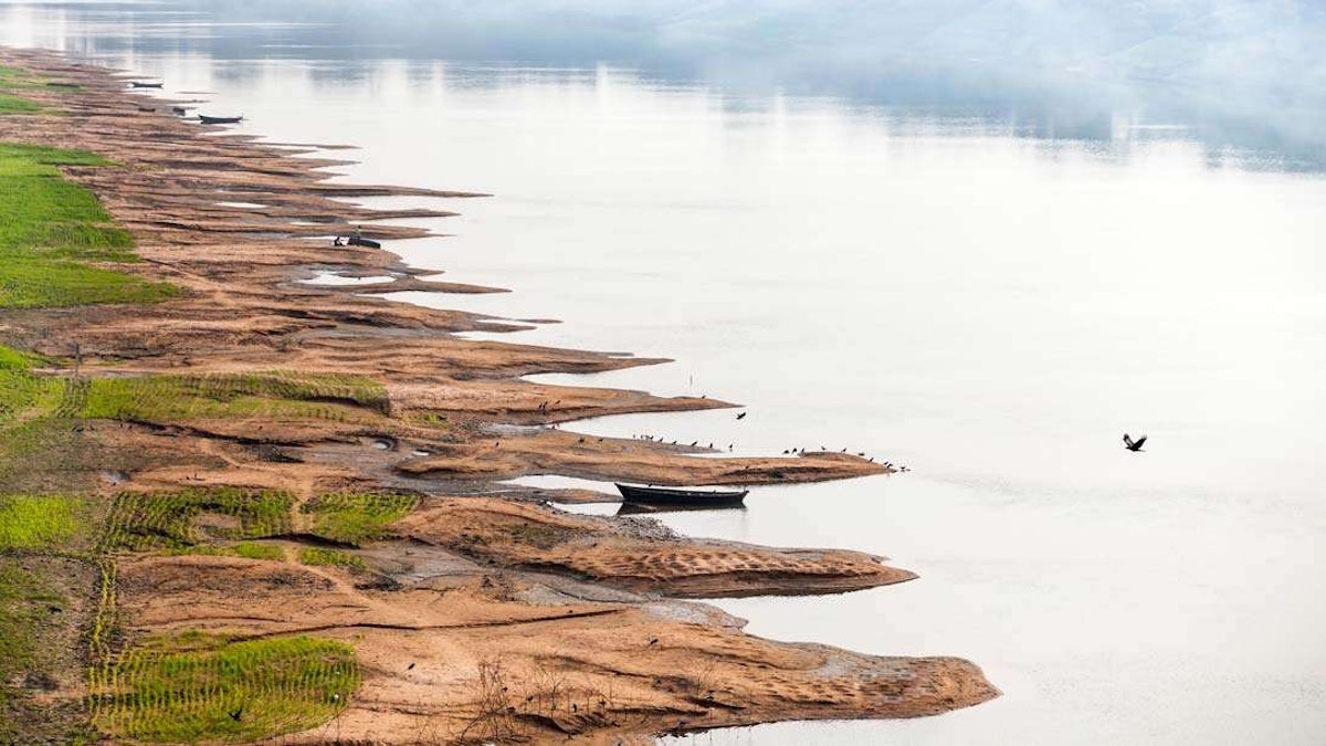 How Can Trees Save Rivers?