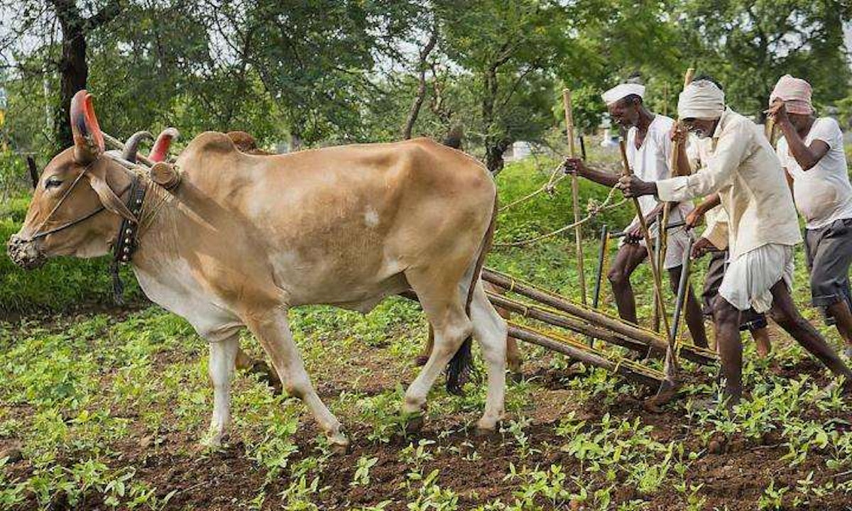 Saving India’s Farmers by Saving India’s Soils
