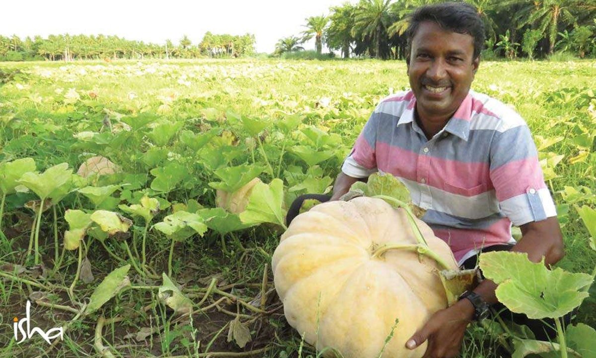 How Isha Agro Movement Transformed a Farm