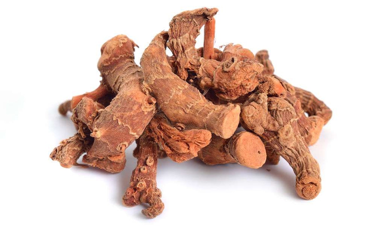 நெஞ்சு சளிக்கு சித்தரத்தை - Sitharathai Benefits in Tamil