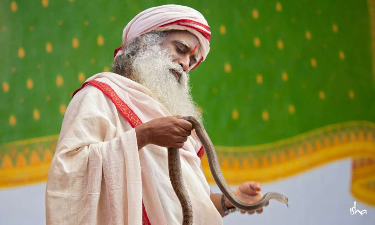 Why is Devi Depicted Riding a Tiger?