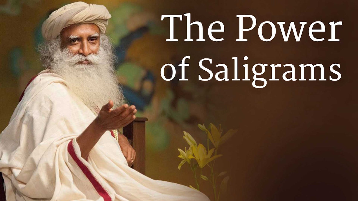 The Power of Saligrams