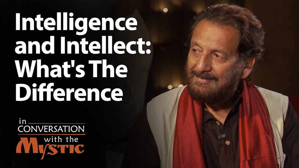Intelligence and Intellect: What's The Difference