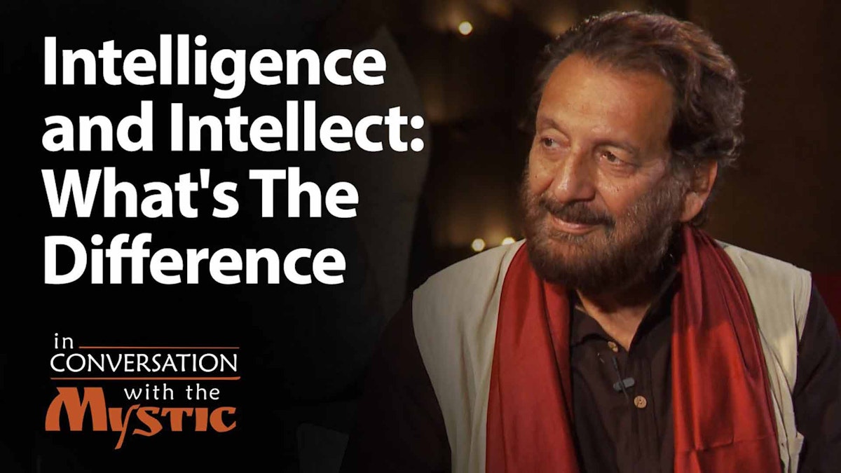 Intelligence and Intellect: What's The Difference