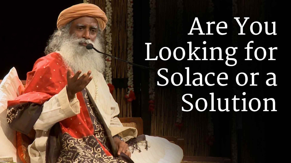 Are You Looking for Solace or a Solution?