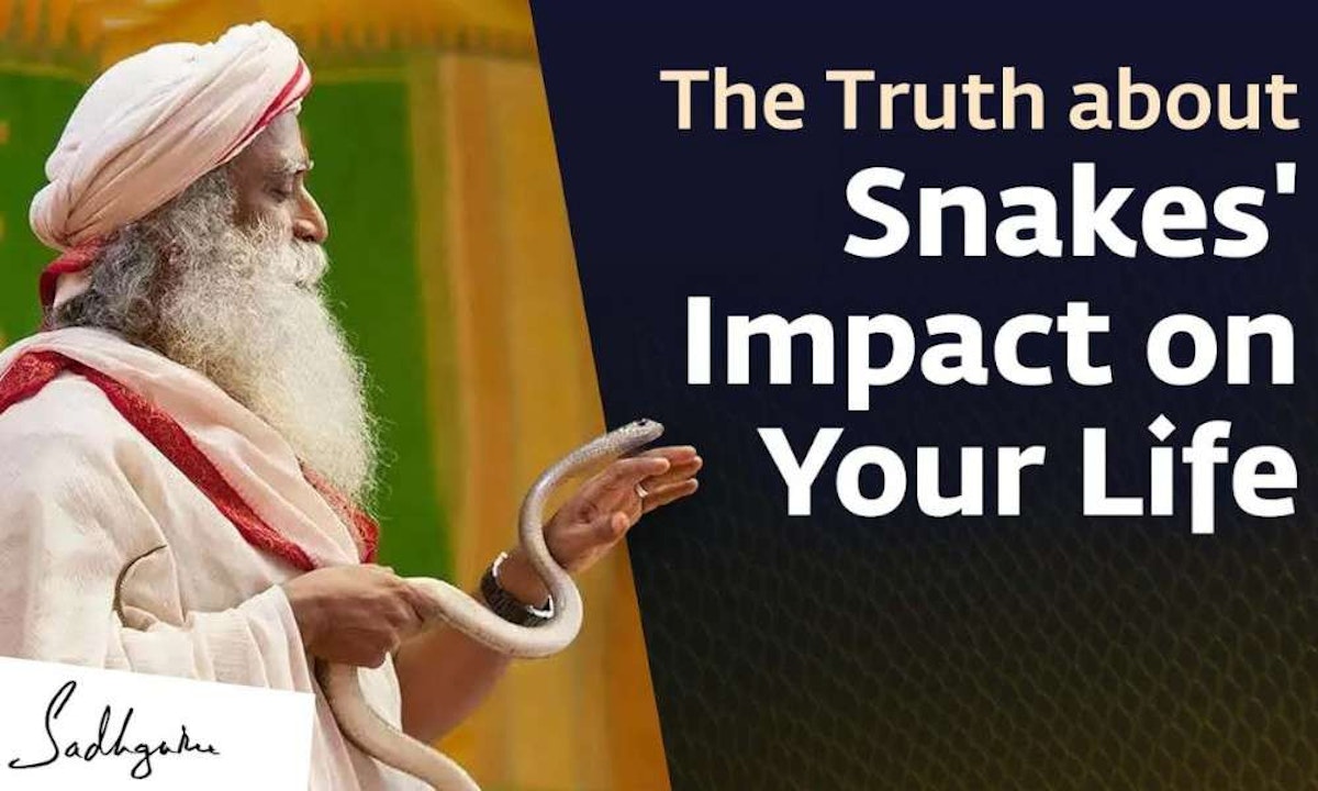 Serpent Science - The Truth about Snakes' Impact on Your Life ...