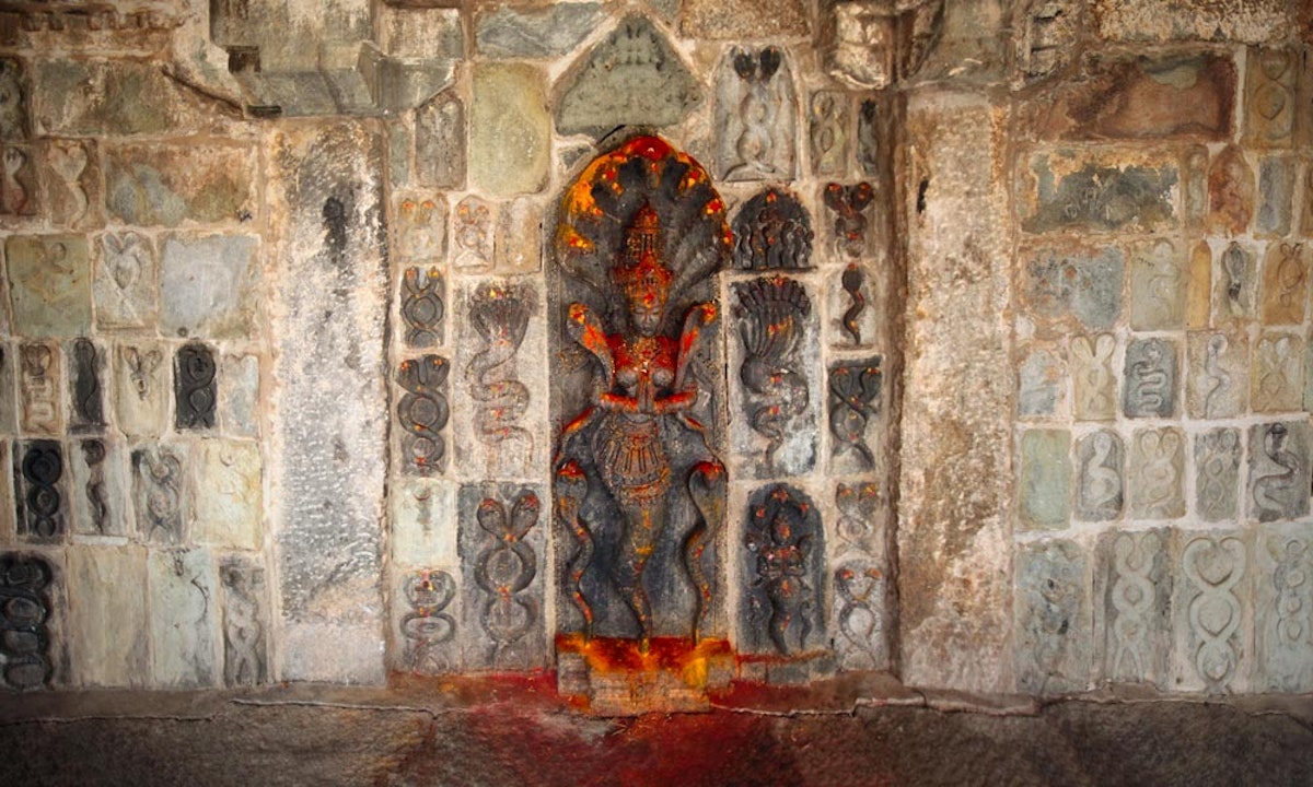 Serpent Science - The Truth about Snakes' Impact on Your Life