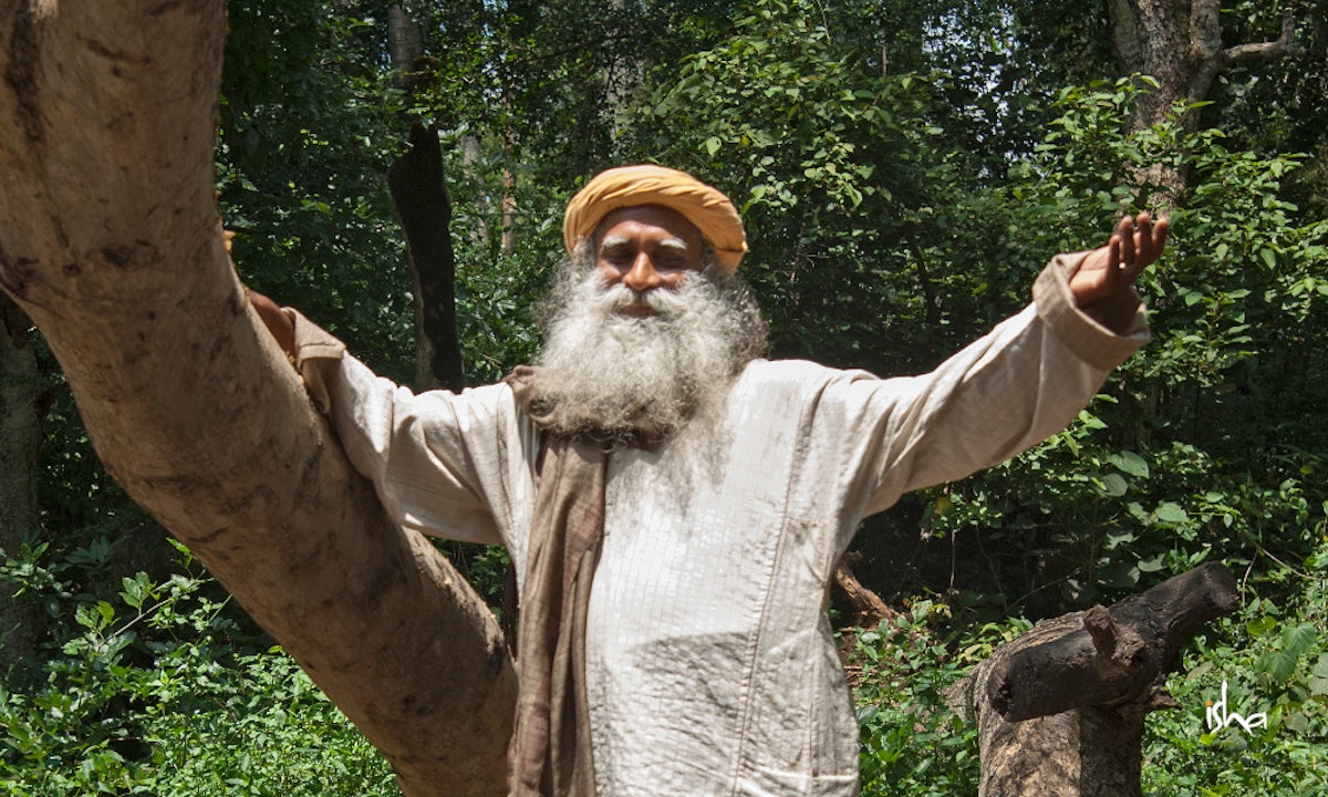 You Should Come Awake in the Fullest Possible Way!!