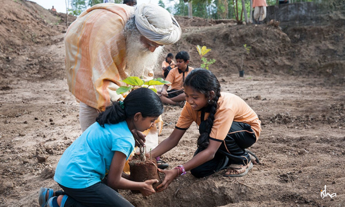 Increasing Tree Cover is the Most Effective Way to Replenish Water and ...