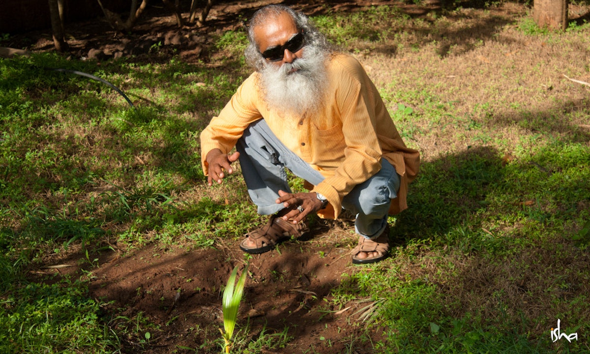 Save Soil: A Movement that Began 24 Years Ago | Sadhguru