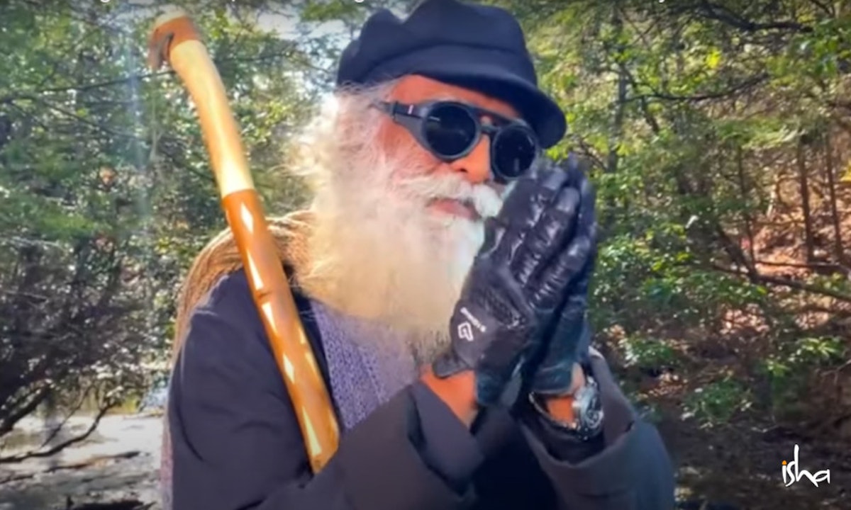 Why Human Beings Are Missing The Exuberance Of Life