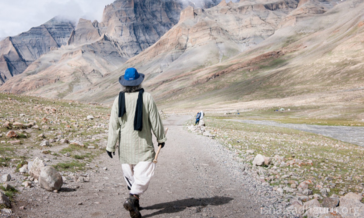 Respond Consciously to Become A Master Of Your Own Destiny. | Daily Wisdom