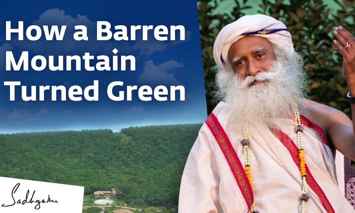 How Sadhguru Inspired Volunteers to Turn a Barren Mountain Green