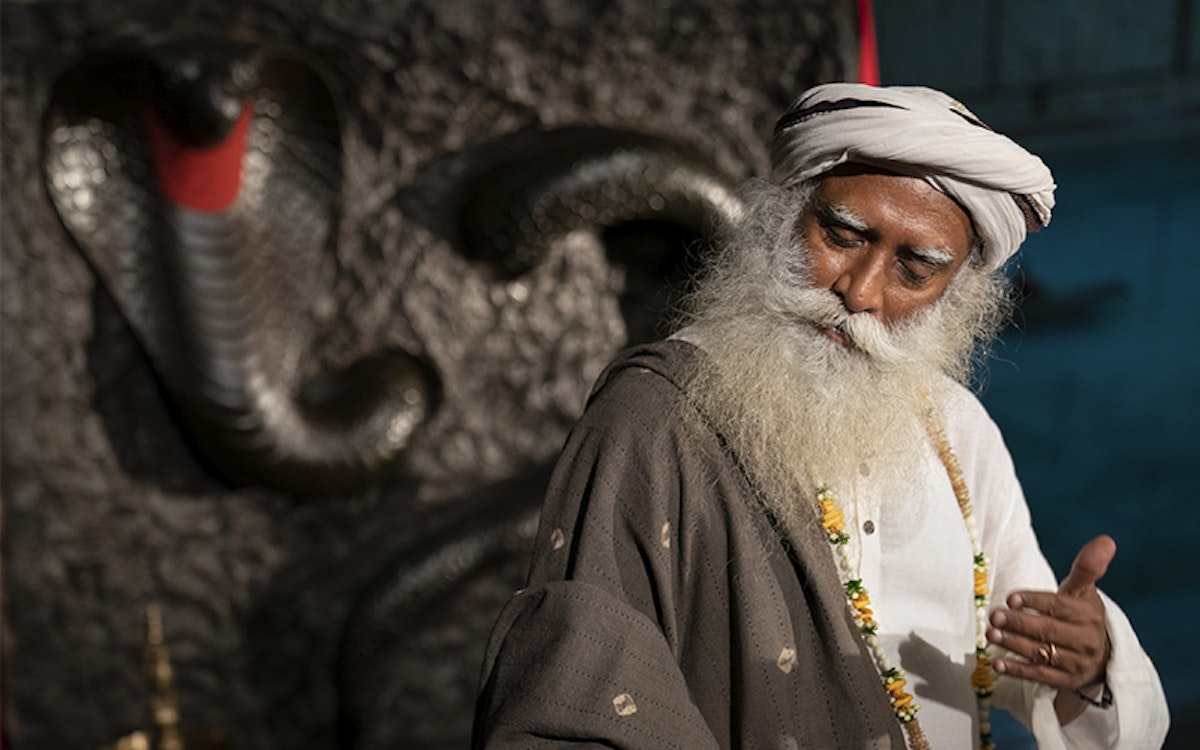 Sadhguru Quotes - Naga es una forma importante para lograr resistencia ...
