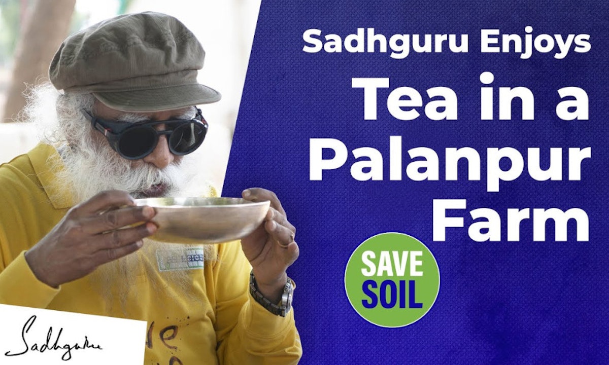 Sadhguru Sings & Enjoys Gujarati-Style Tea in Palanpur