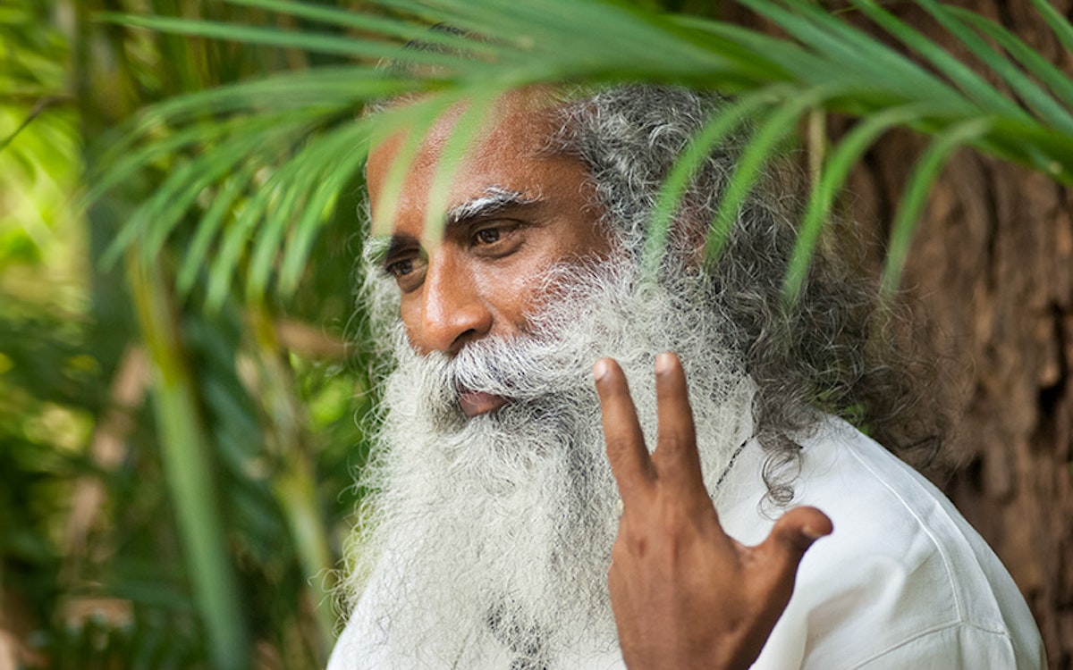 Sadhguru Quotes - Your thoughts and emotions may keep you fully engaged ...