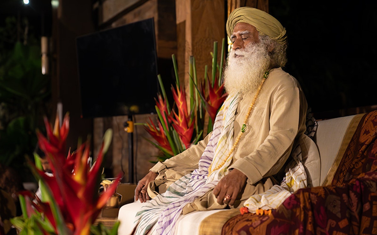 Sadhguru Quotes - In the stillness of the mind, intelligence can ...