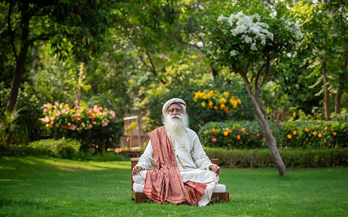 Sadhguru Addresses the UN - IDY