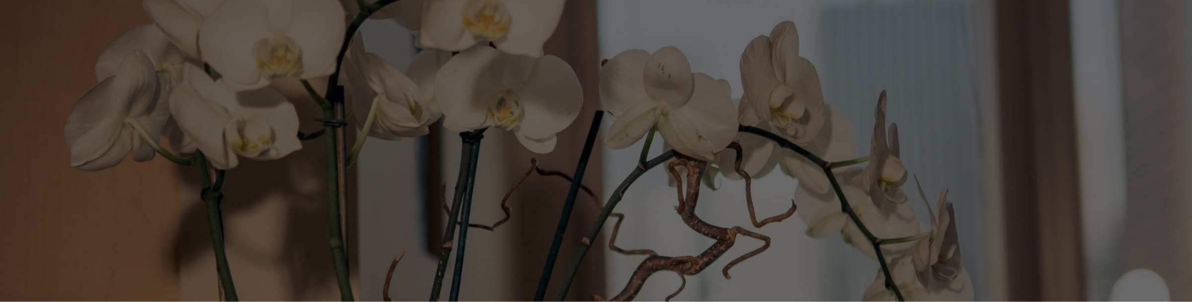 East Bay Office | Samadian Cosmetic & Advanced Dentistry