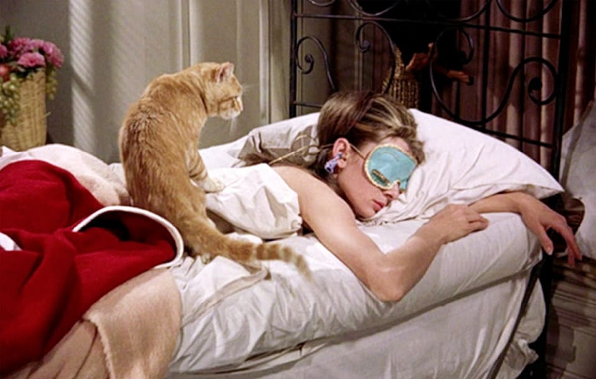 Audrey Hepburn: confira as fotos que comprovam o seu amor por animais