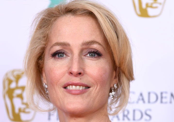 Gillian Anderson explica por que ela parou de usar sutiãs Gillian Anderson explica por que ela parou de usar sutiãs