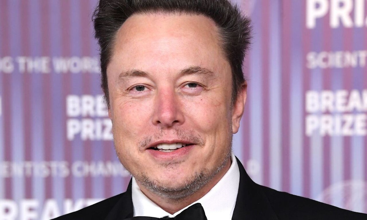 Elon Musk confirma nascimento de 12º herdeiro e explica segredo