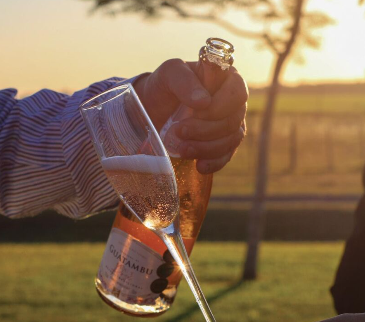 Paralelo 31: empreendimentos, turismo e muito sabor