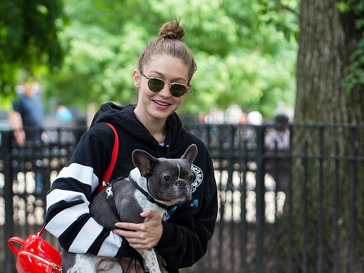 Street style: 7 looks das famosas e seus pets que inspiram estilo