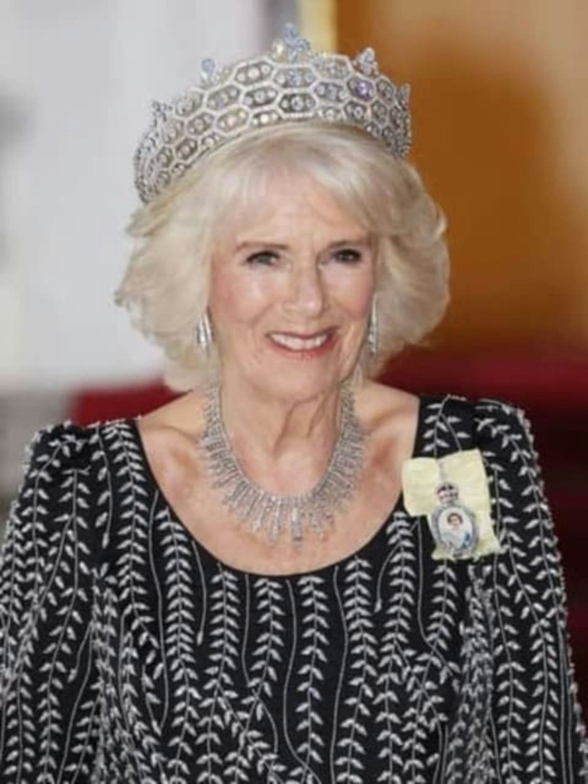 Camilla deve quebrar tradição histórica em coroação