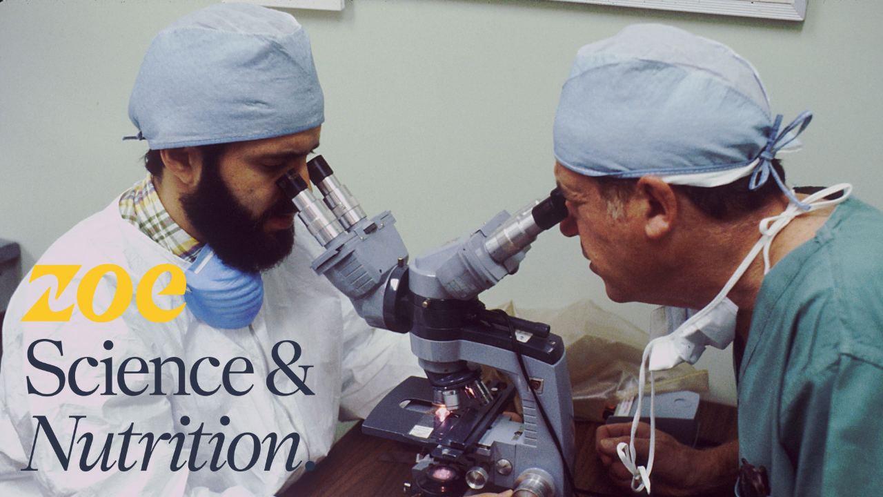 ZOE Podcast: Your Gut Is Full of Bugs — Why This Is Great News