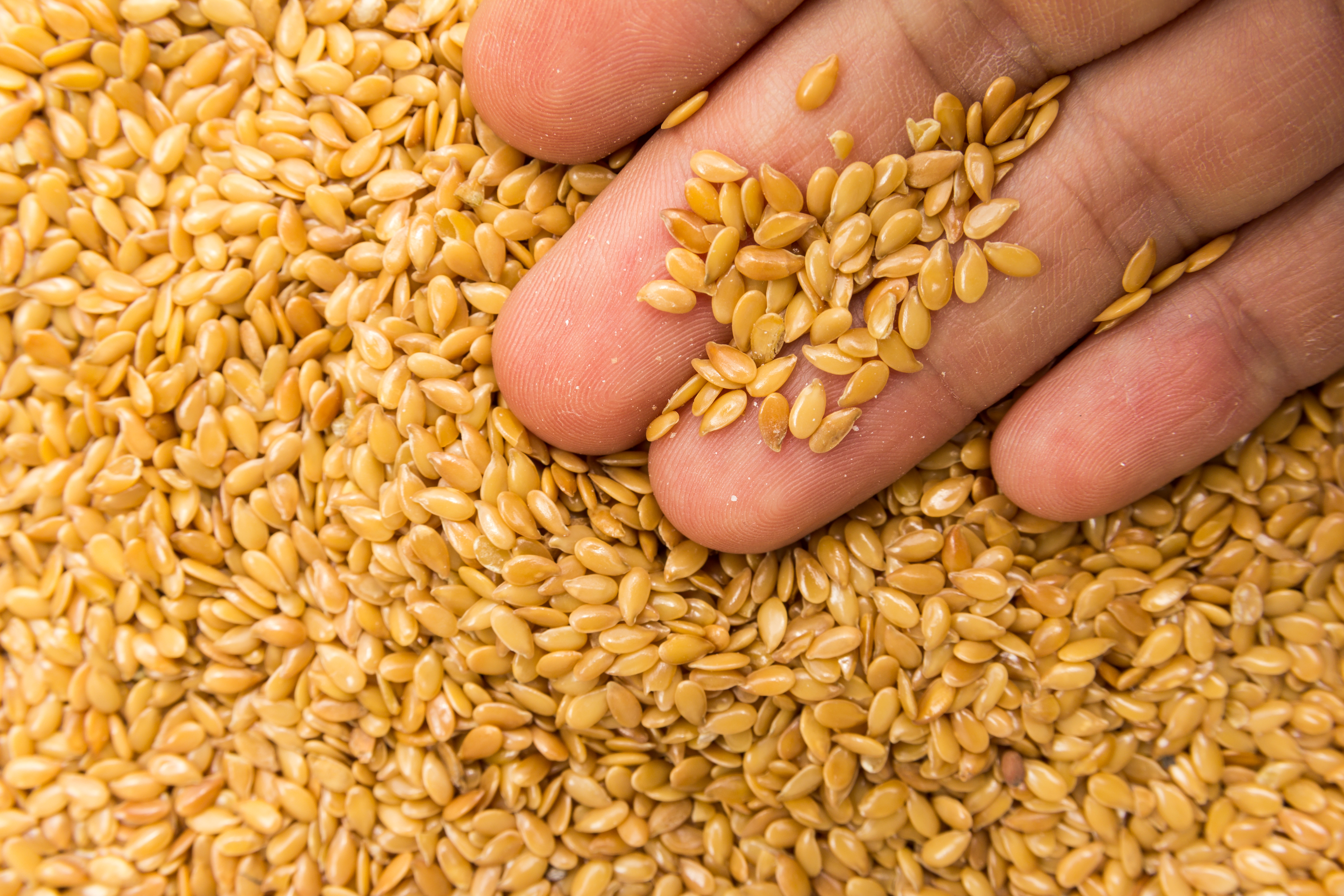 Why Are Omega-3s Essential? Part 2