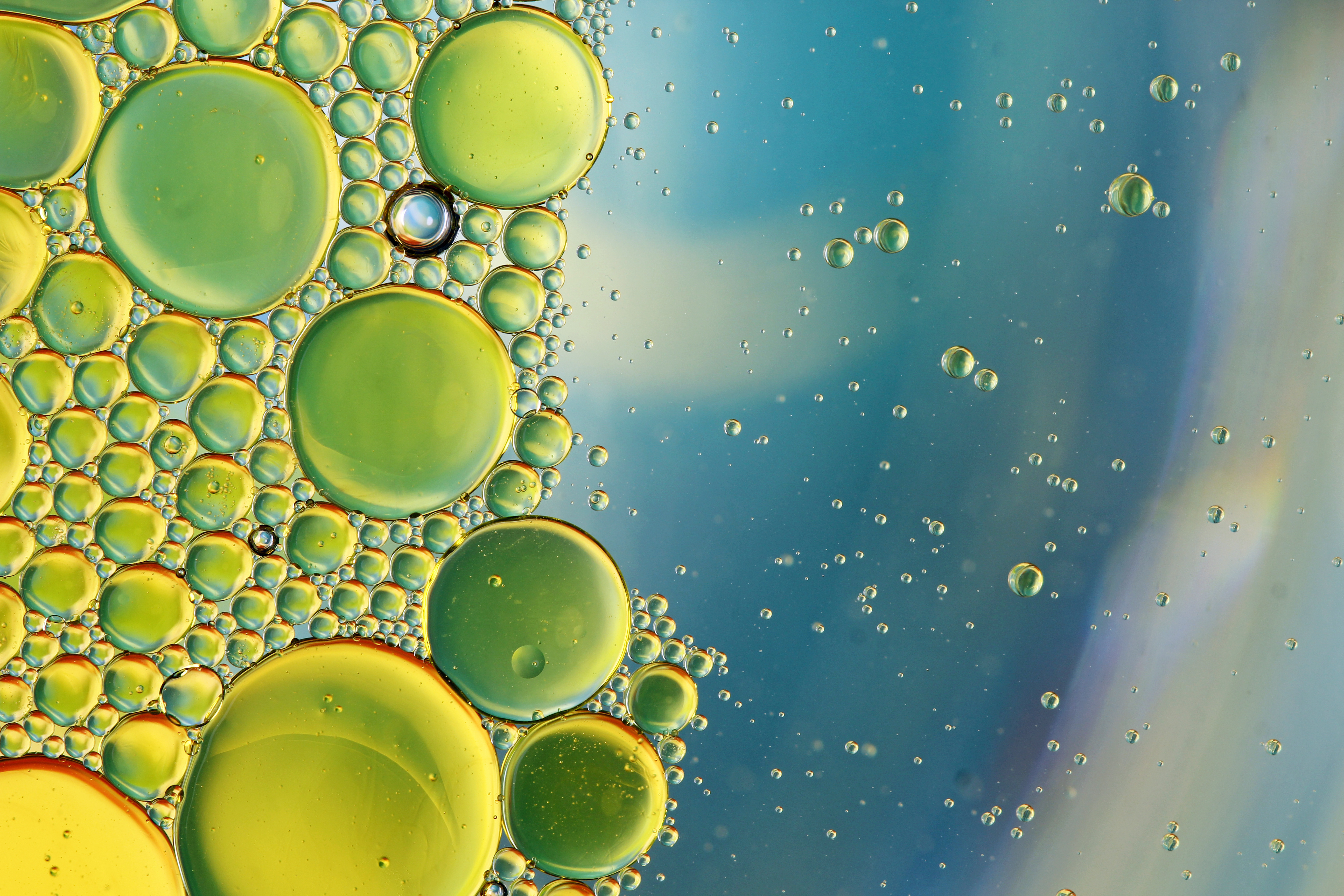 What Is Bile, and What Does It Do?