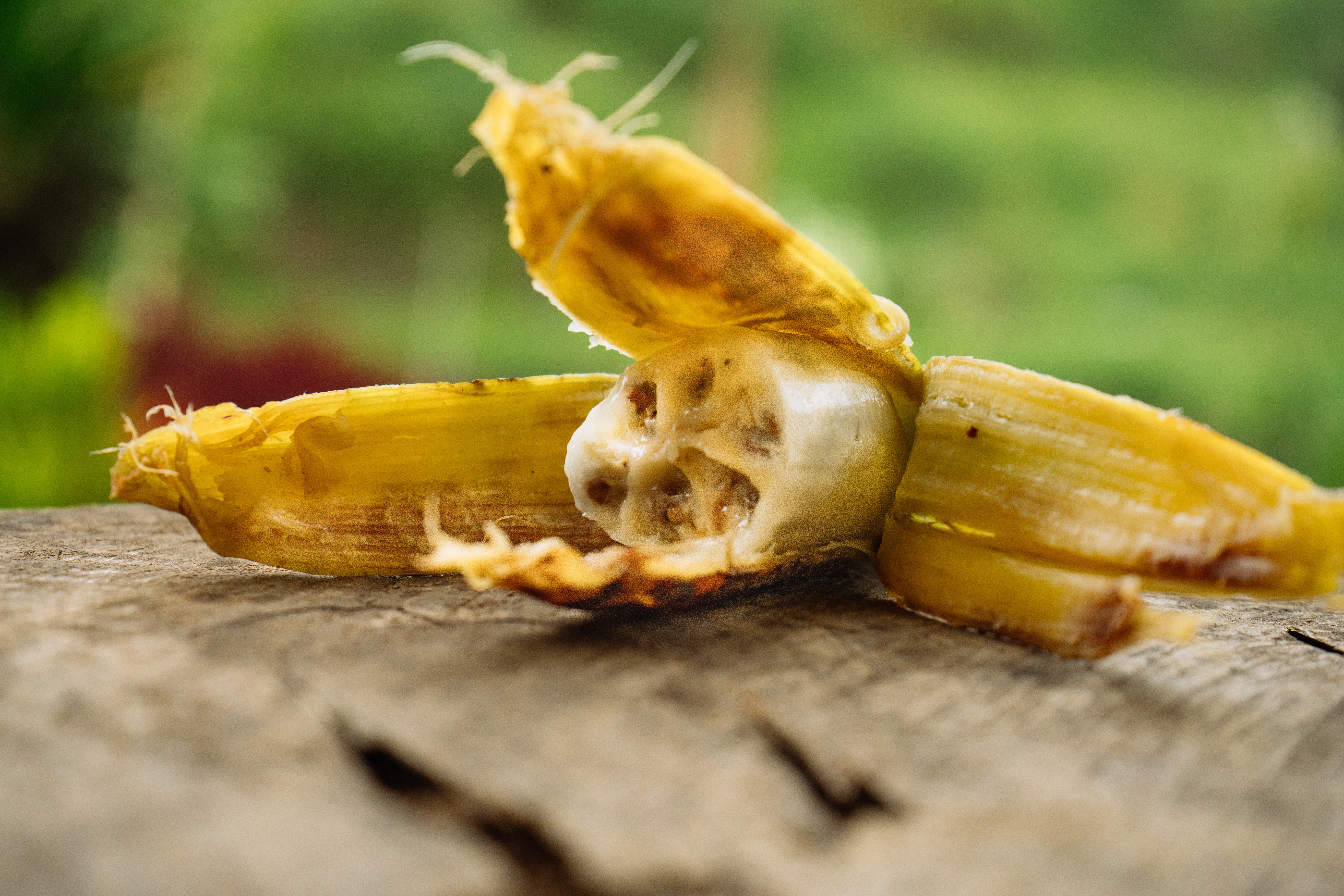 Is The Paleo Diet Authentic?