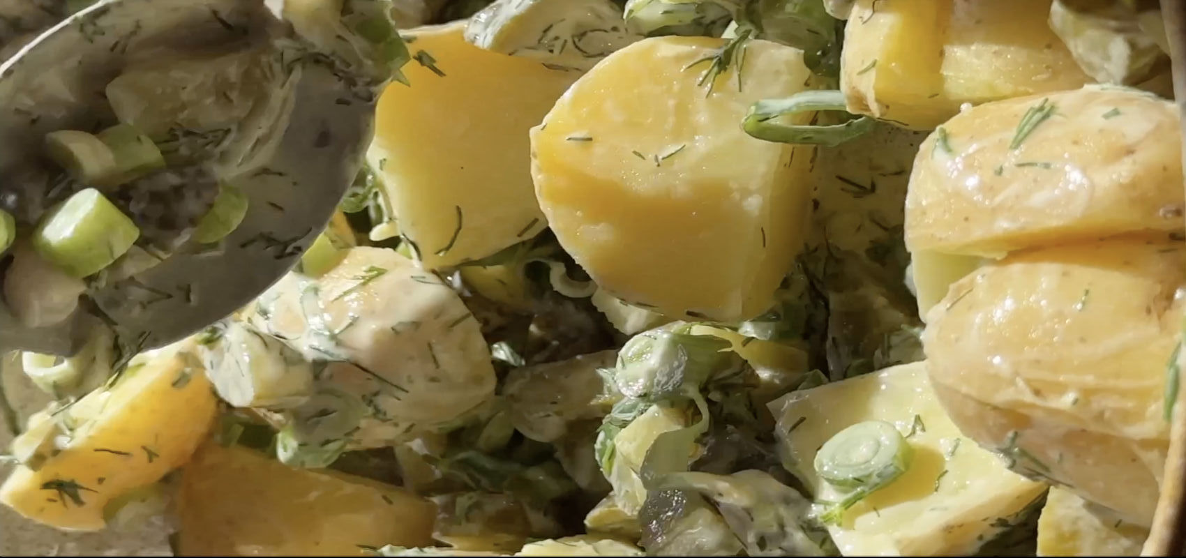 Recipes From the Largest Nutrition Study | ZOE